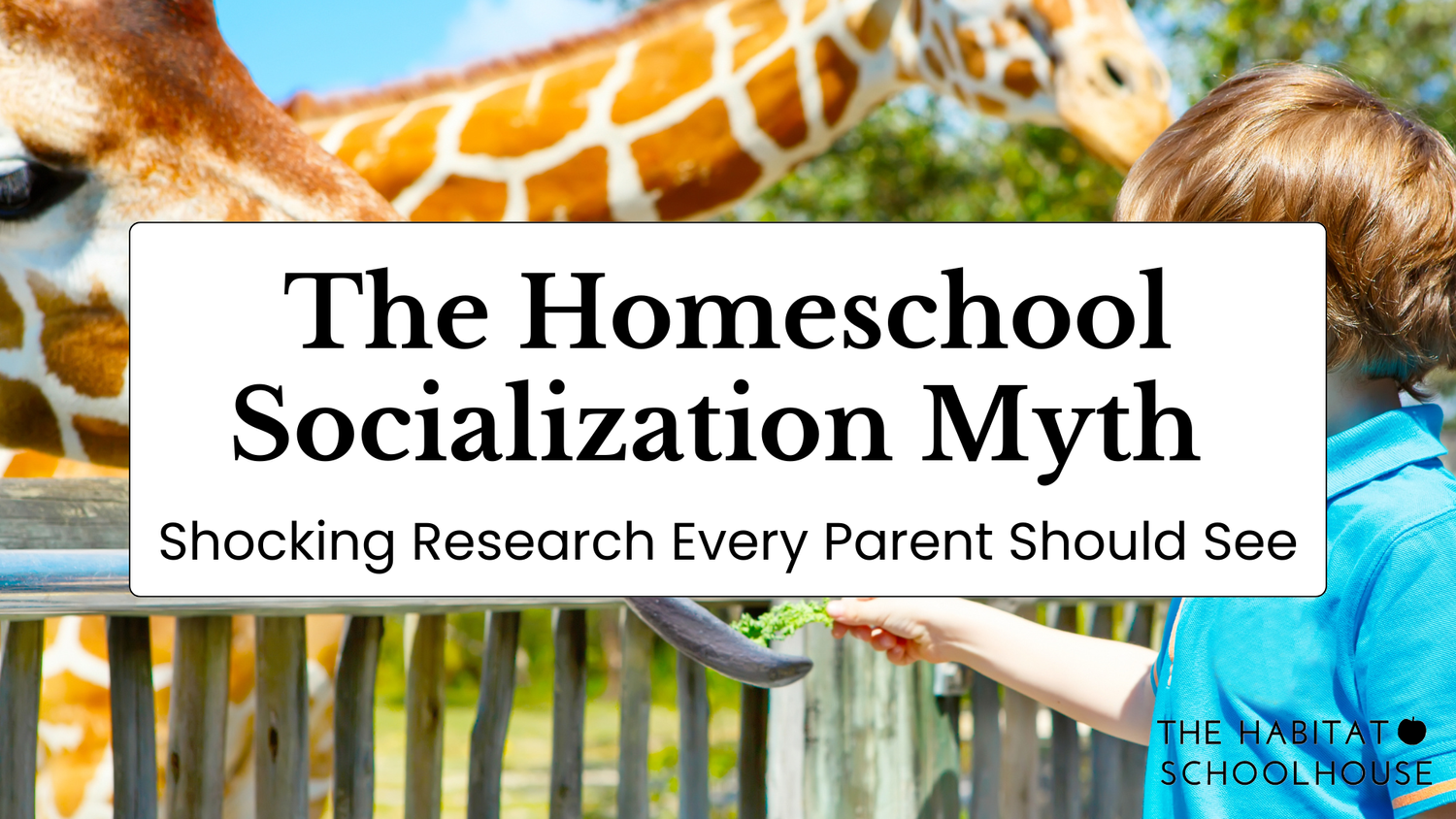 The Homeschool Socialization Myth: Shocking Research Every Parent ...