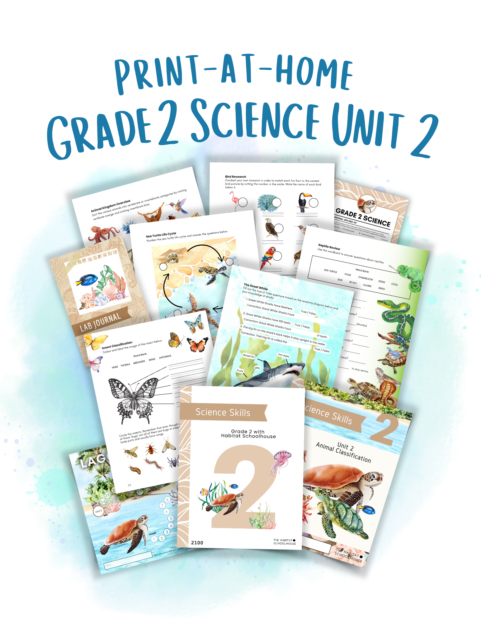 Grade 2 Curriculum - PREORDER — Habitat Schoolhouse