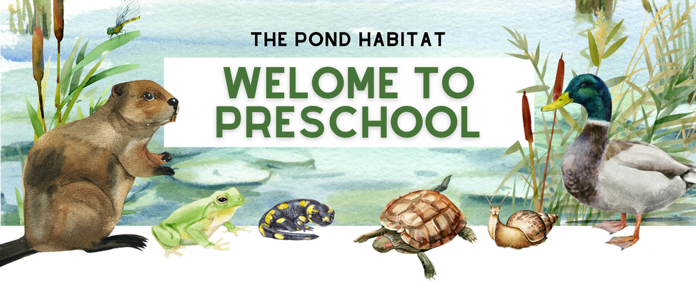 Preschool Curriculum — Habitat Schoolhouse