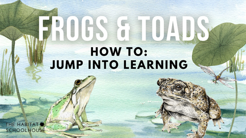 Exciting Frog and Toad Activities for Homeschoolers — Habitat Schoolhouse