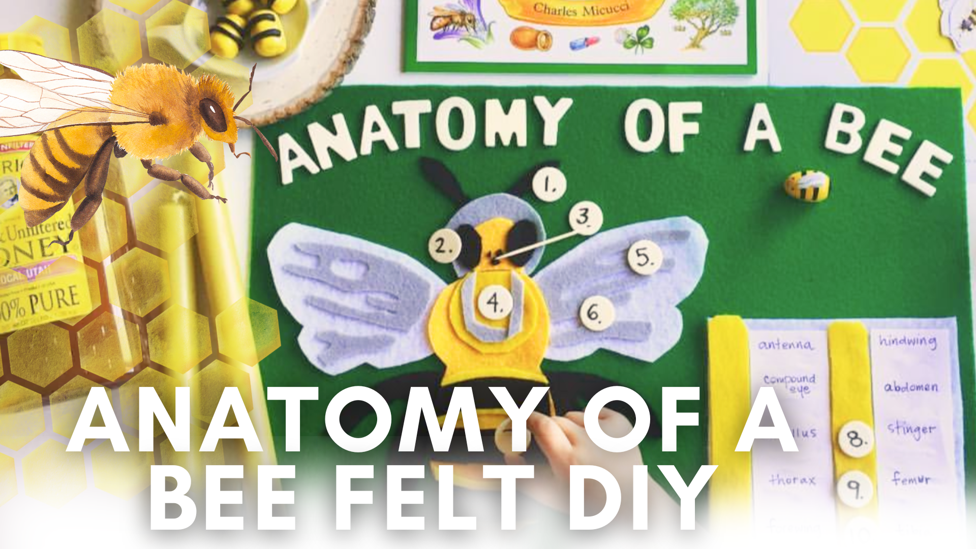 Buzzing with Biology: Dive into Bee Anatomy with a Creative Felt Craft ...