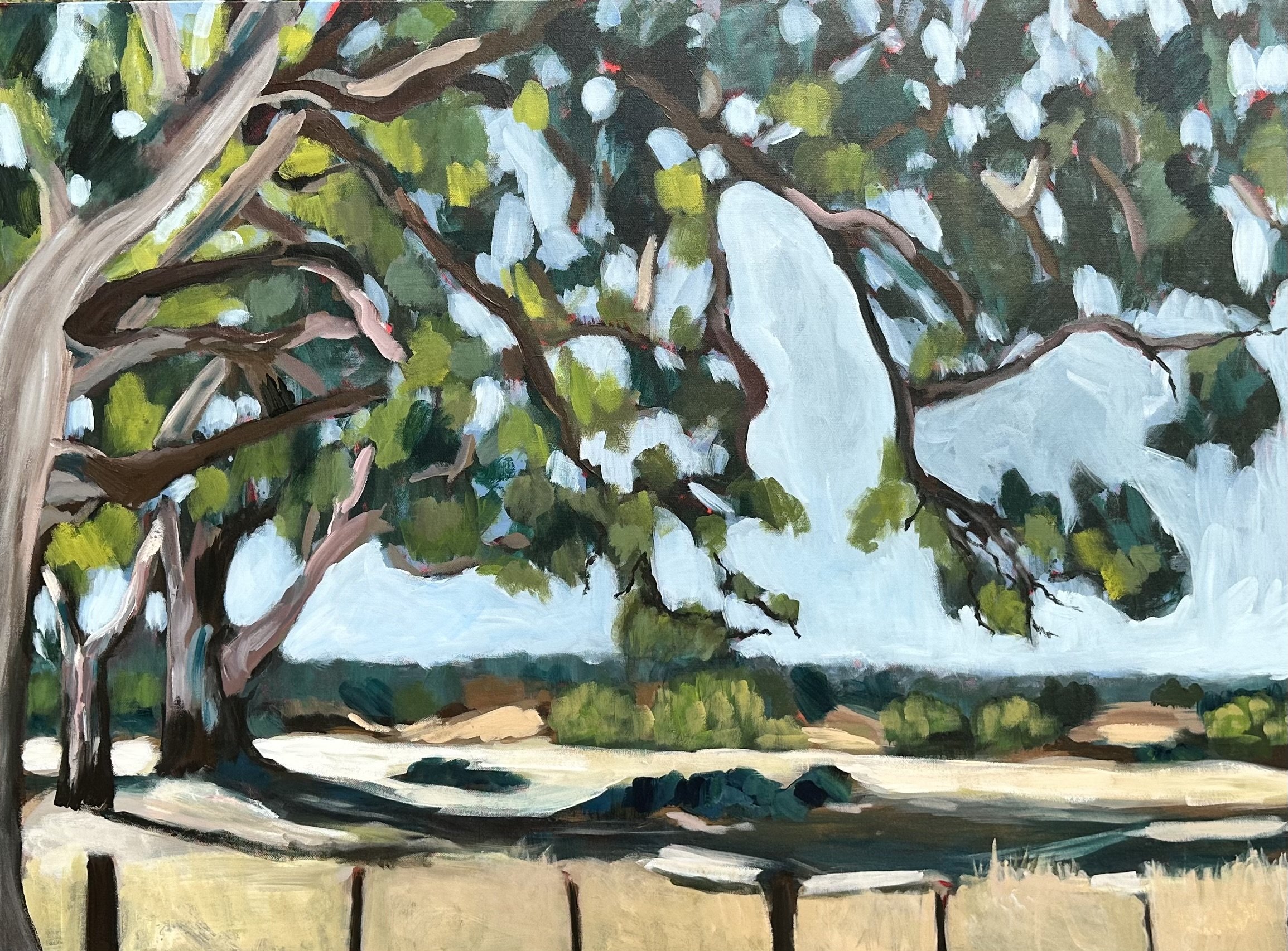 Shows — Shani Alexander's Transformational Painting Programs