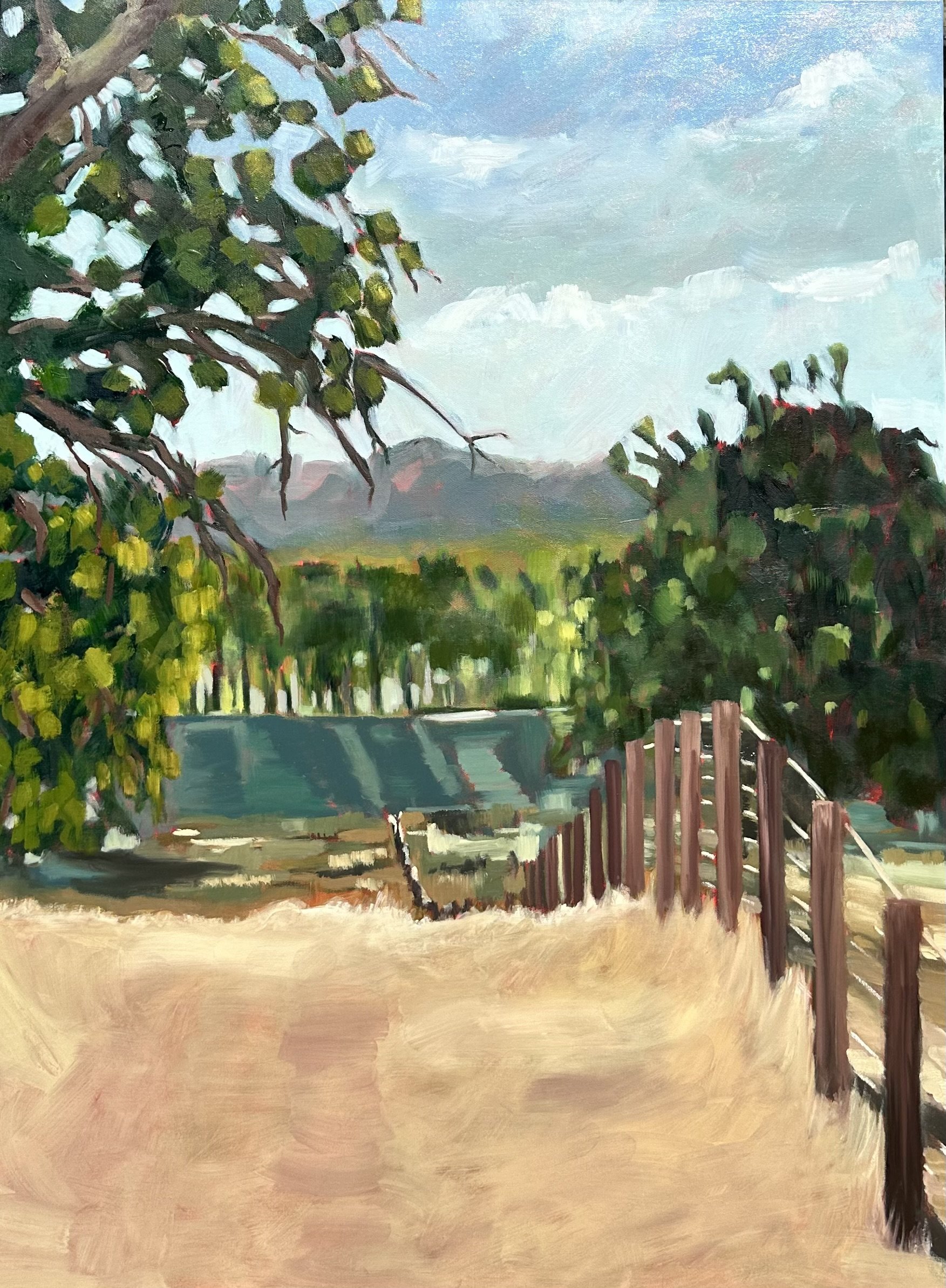 Shows — Shani Alexander's Transformational Painting Programs