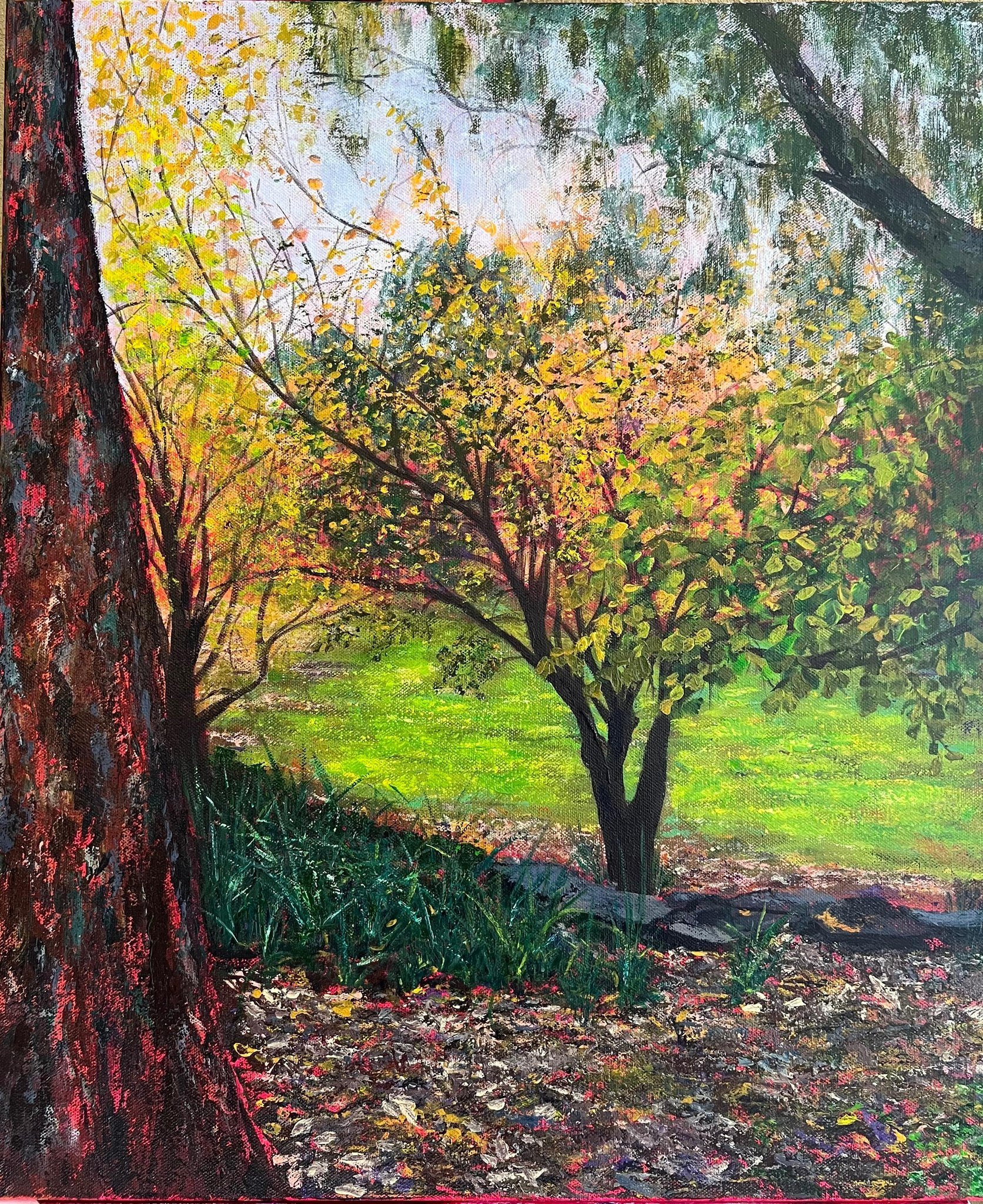 Shows — Shani Alexander's Transformational Painting Programs