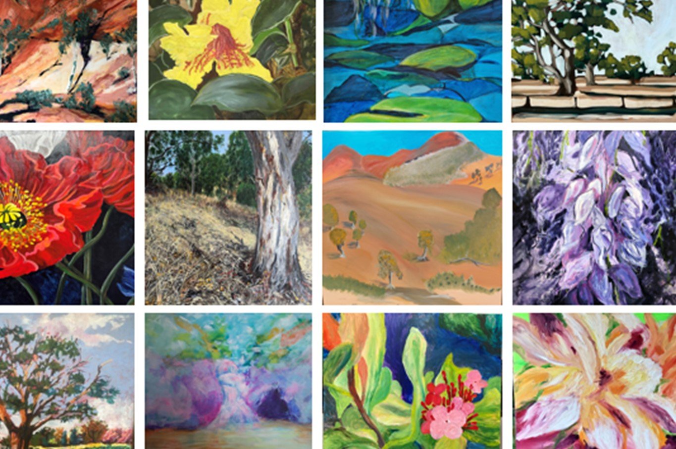 Shows — Shani Alexander's Transformational Painting Programs
