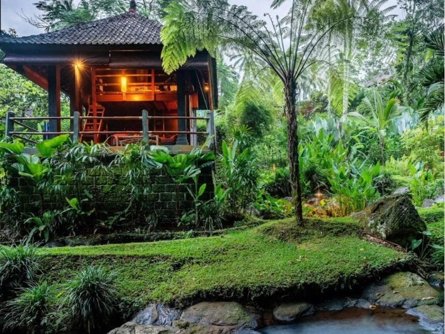 Escape — Shani Alexander's Transformational Painting Programs