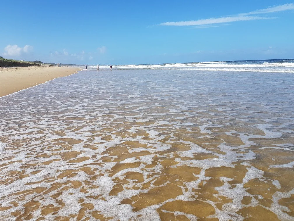 Escapes — Shani Alexander's Transformational Painting Programs