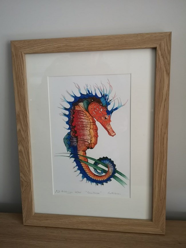 Limited Edition Seahorse Print| Shop| The Animal Artist