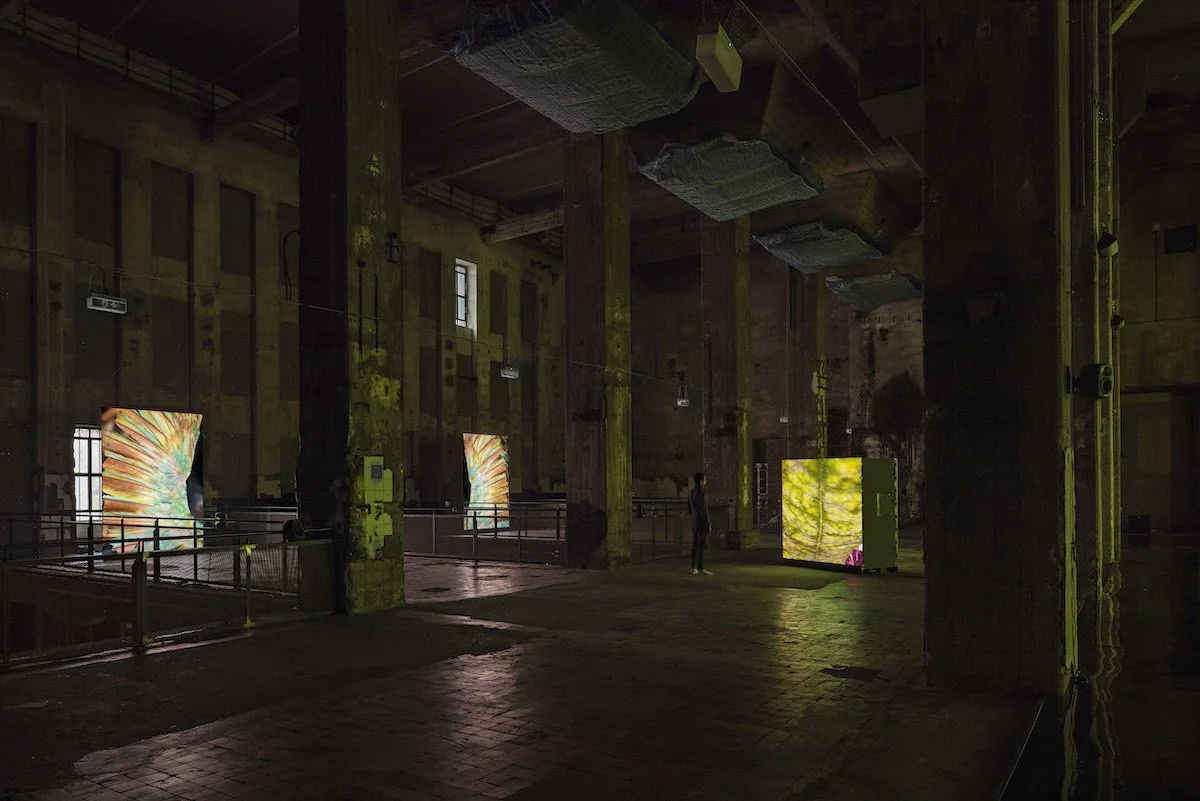 Berl-Berl — Jakob Kudsk Steensen