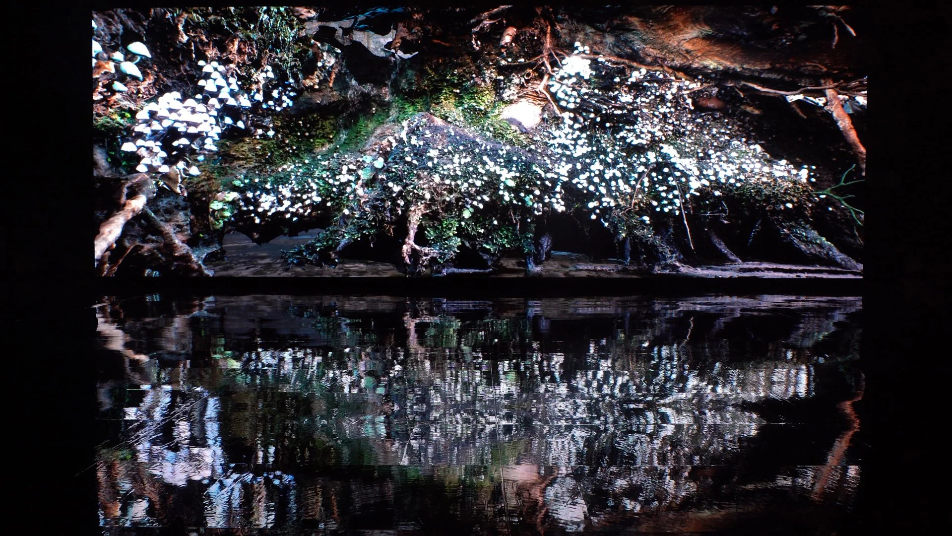 Berl-Berl — Jakob Kudsk Steensen