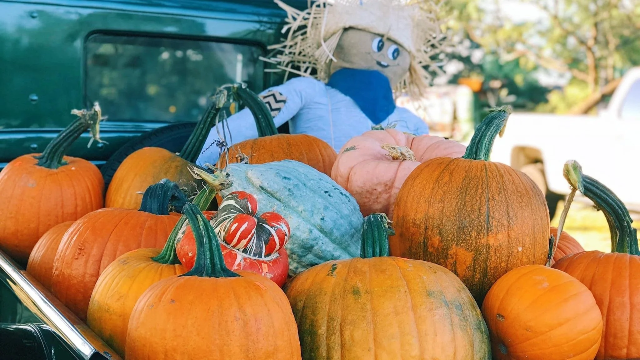 Farmers Market of Grapevine