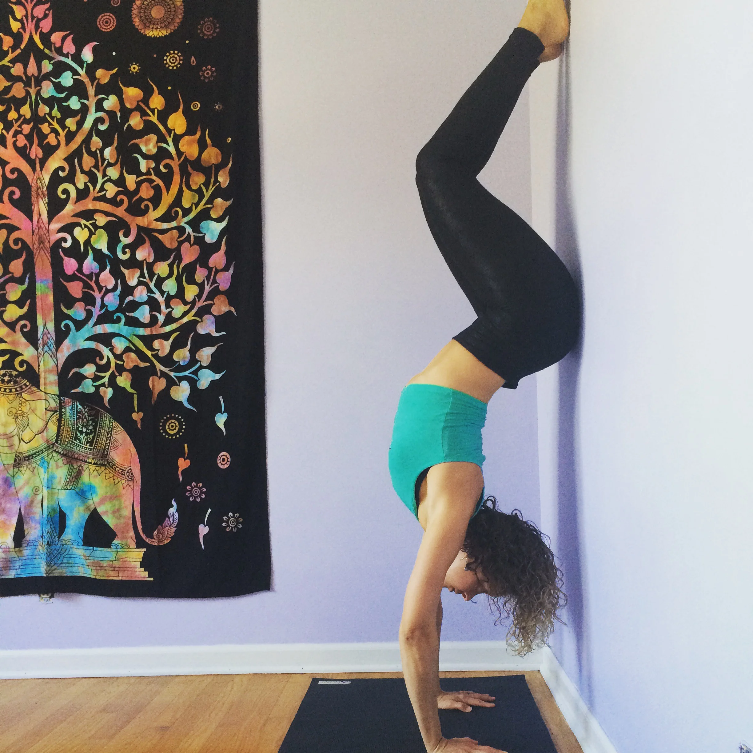 A Recipe and a Review of LivWell Nutrition Raw Plant-Based Protein ...