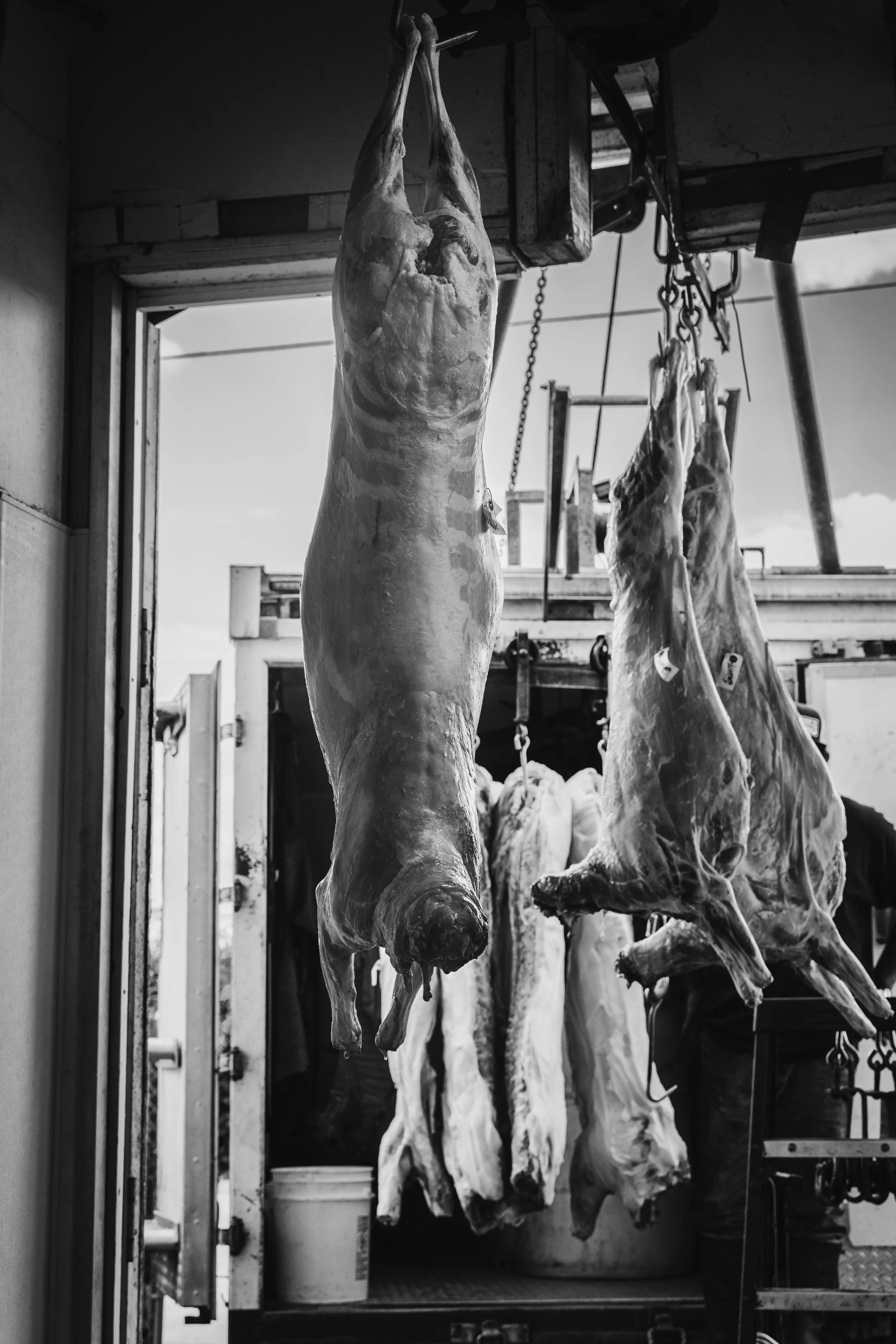 Custom Processing — Hottinger Family Meats