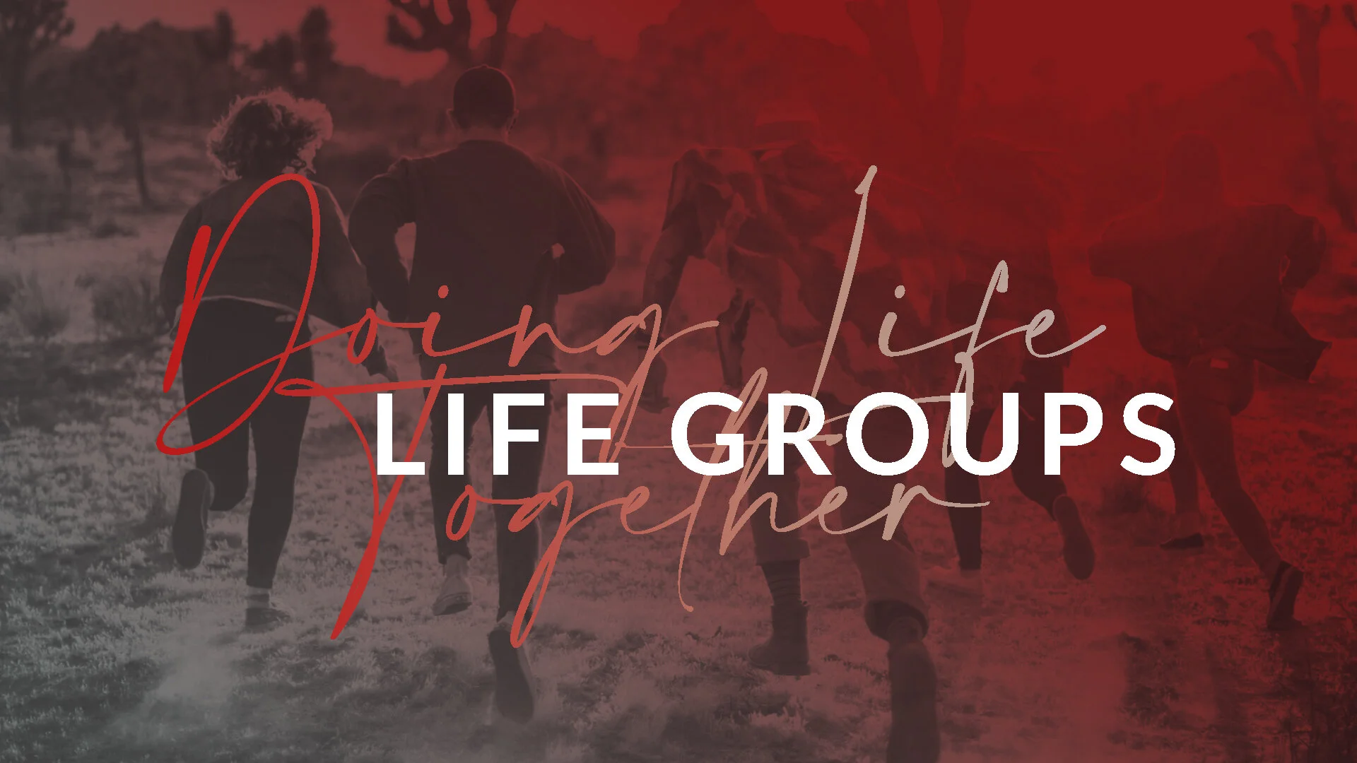 life-groups — JUBILEE SEOUL