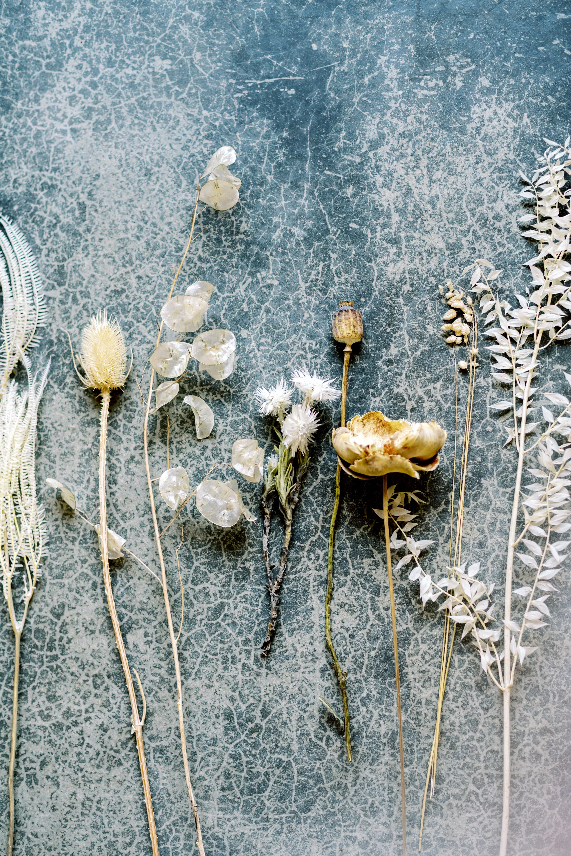 Mayesh Design Star Workshop in Columbus, Ohio — Carly Messmer Floral Design