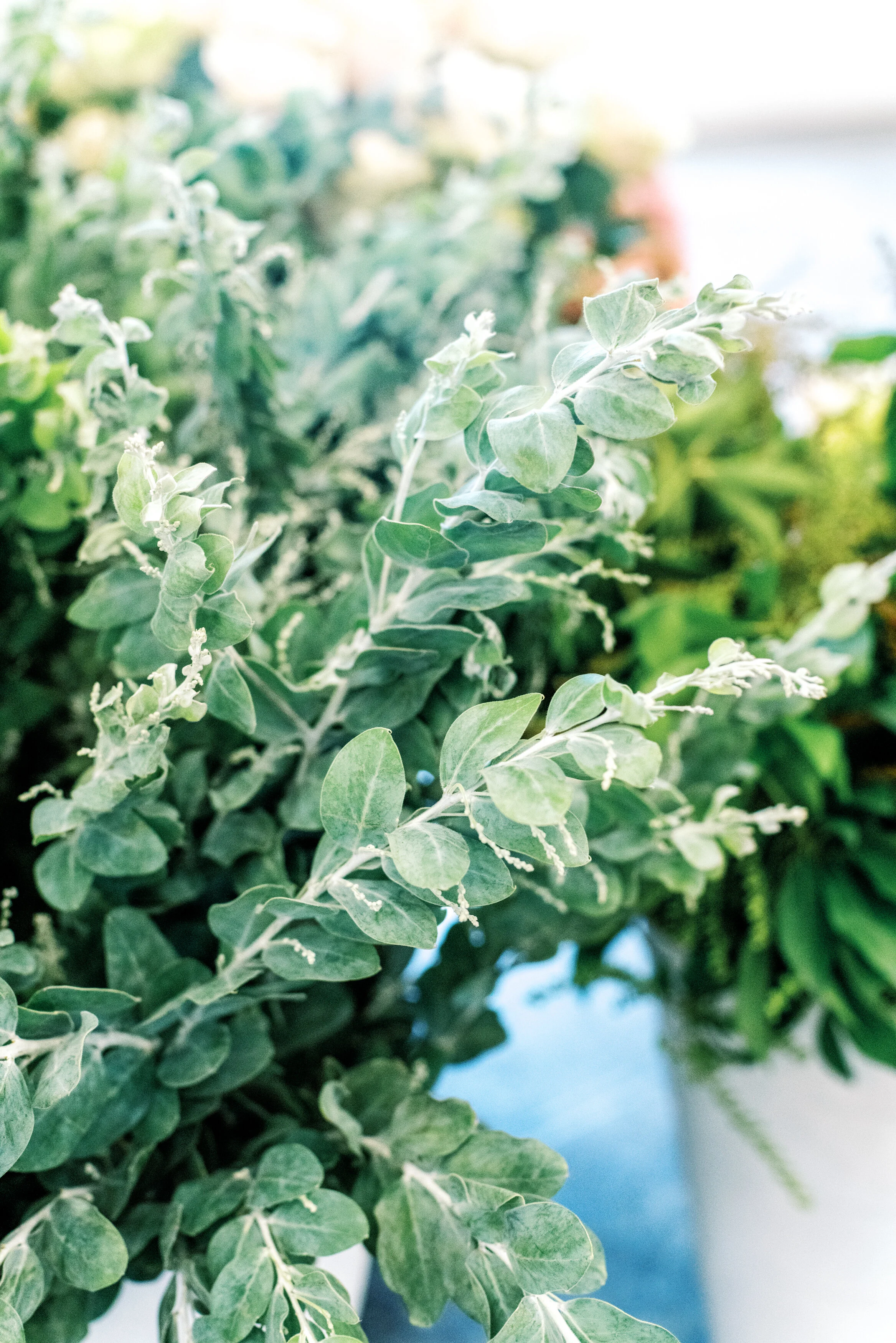 Mayesh Design Star Workshop in Columbus, Ohio — Carly Messmer Floral Design