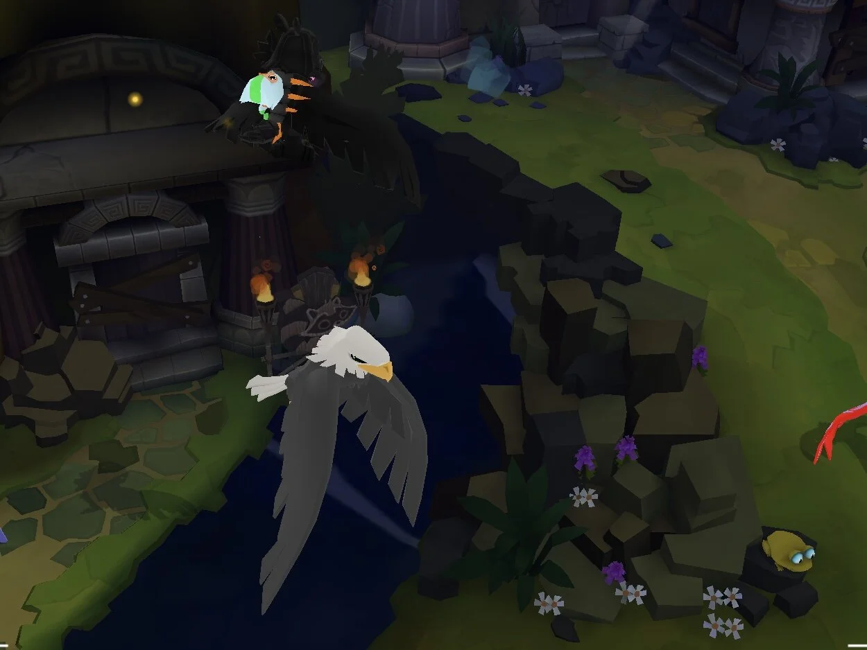 Finding Nocturnal Animals — Animal Jam Archives