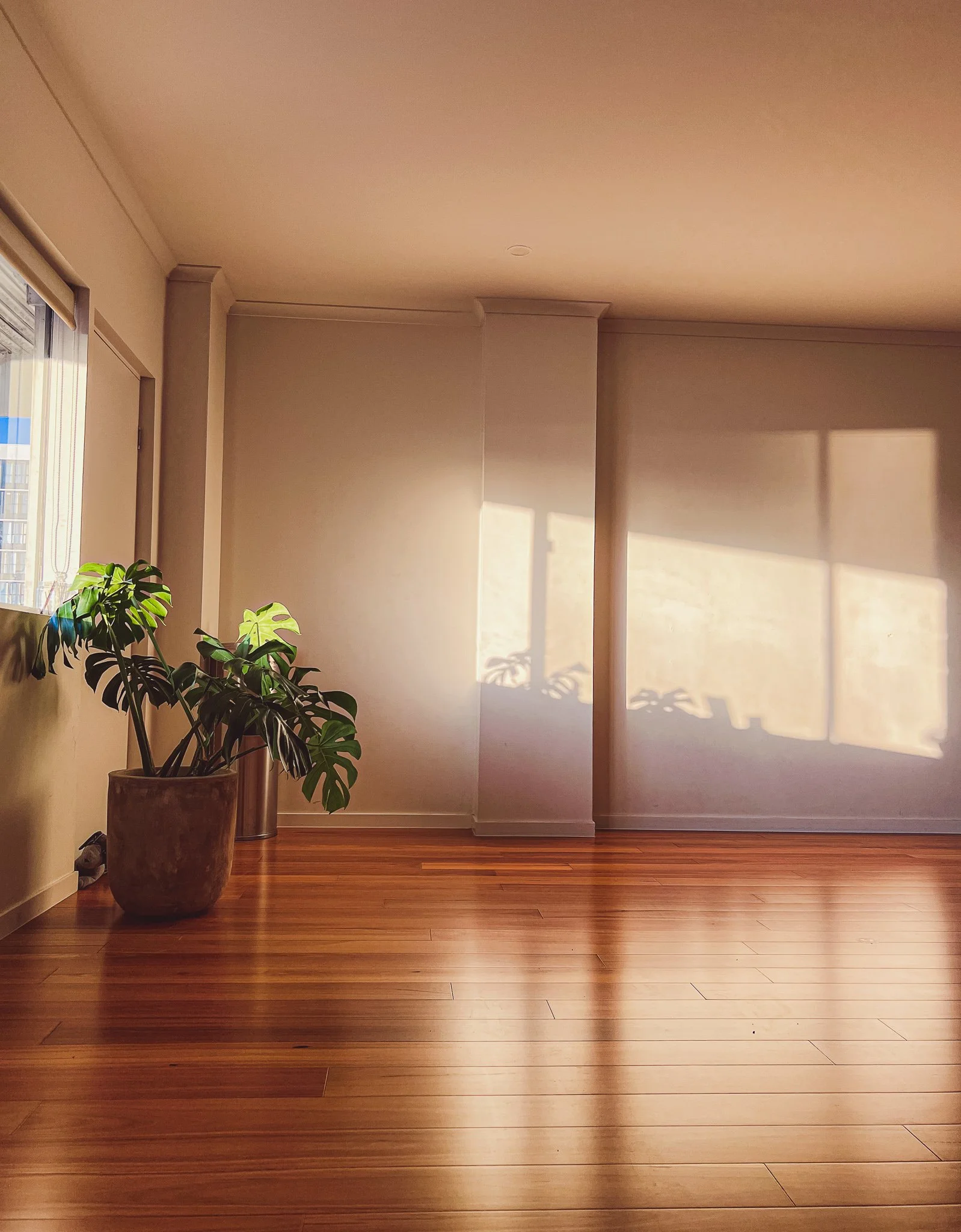 Programs — The Studio