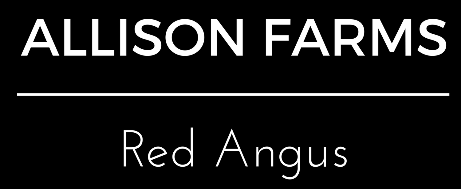 Bull and Select Female Sale March 19, 2025!