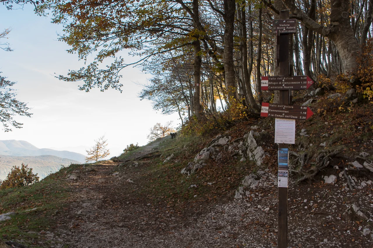 Un anello nella faggeta di Campo dell'Osso — VASSILI BALOCCO - Nature & Landscape Photography