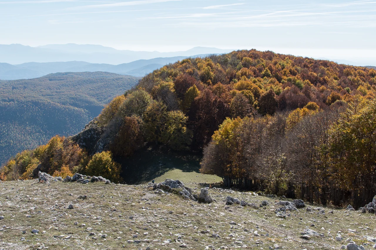 Un anello nella faggeta di Campo dell'Osso — VASSILI BALOCCO - Nature & Landscape Photography