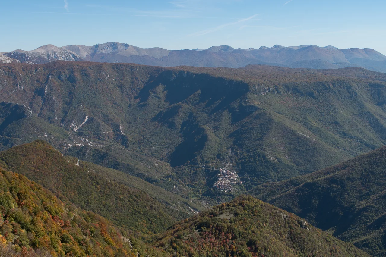 Un anello nella faggeta di Campo dell'Osso — VASSILI BALOCCO - Nature & Landscape Photography