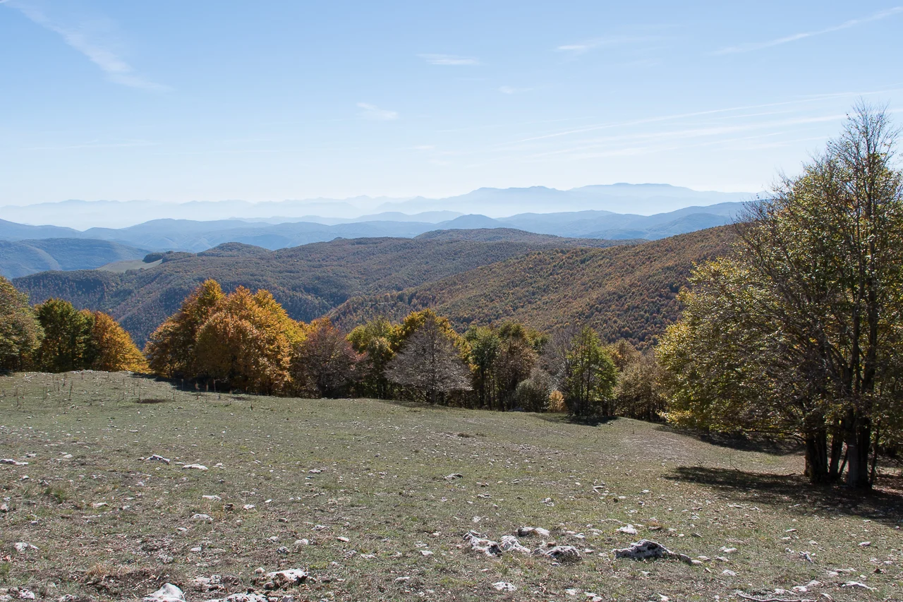 Un anello nella faggeta di Campo dell'Osso — VASSILI BALOCCO - Nature & Landscape Photography