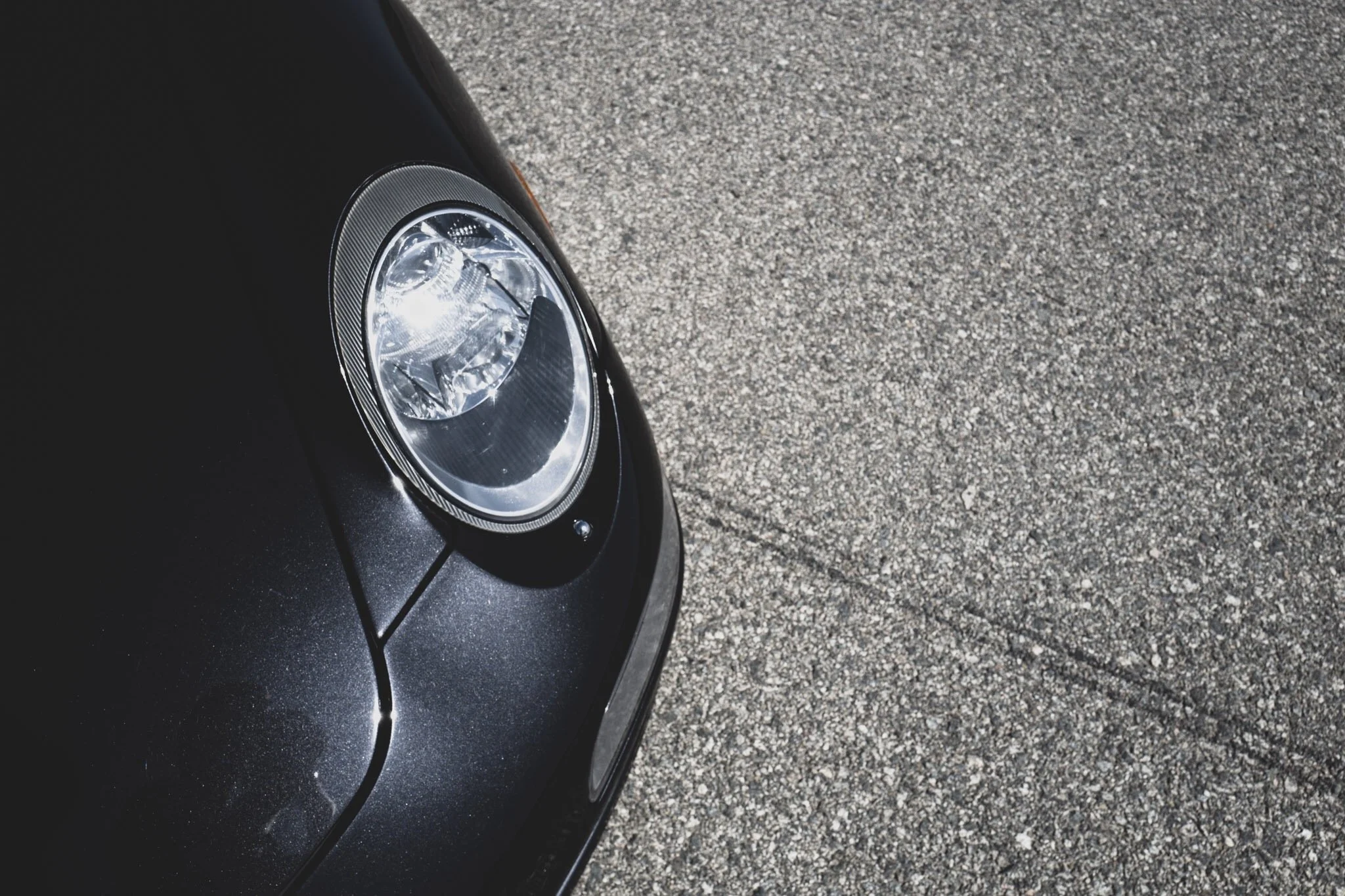 36 Hours In LA — TREVOR REX GAVIN