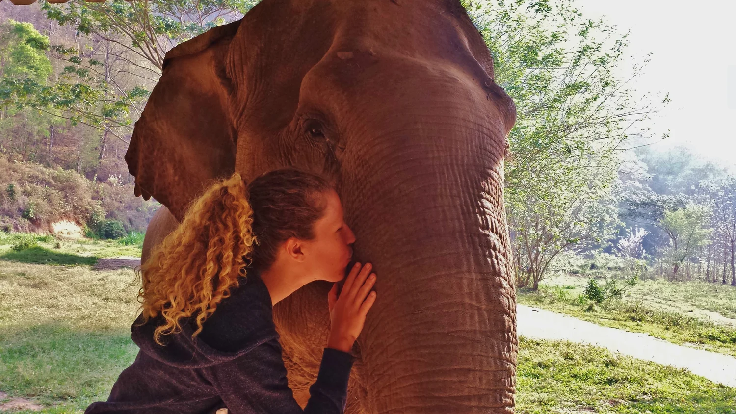 How to Volunteer with Elephants in Thailand - My Deztination via ...