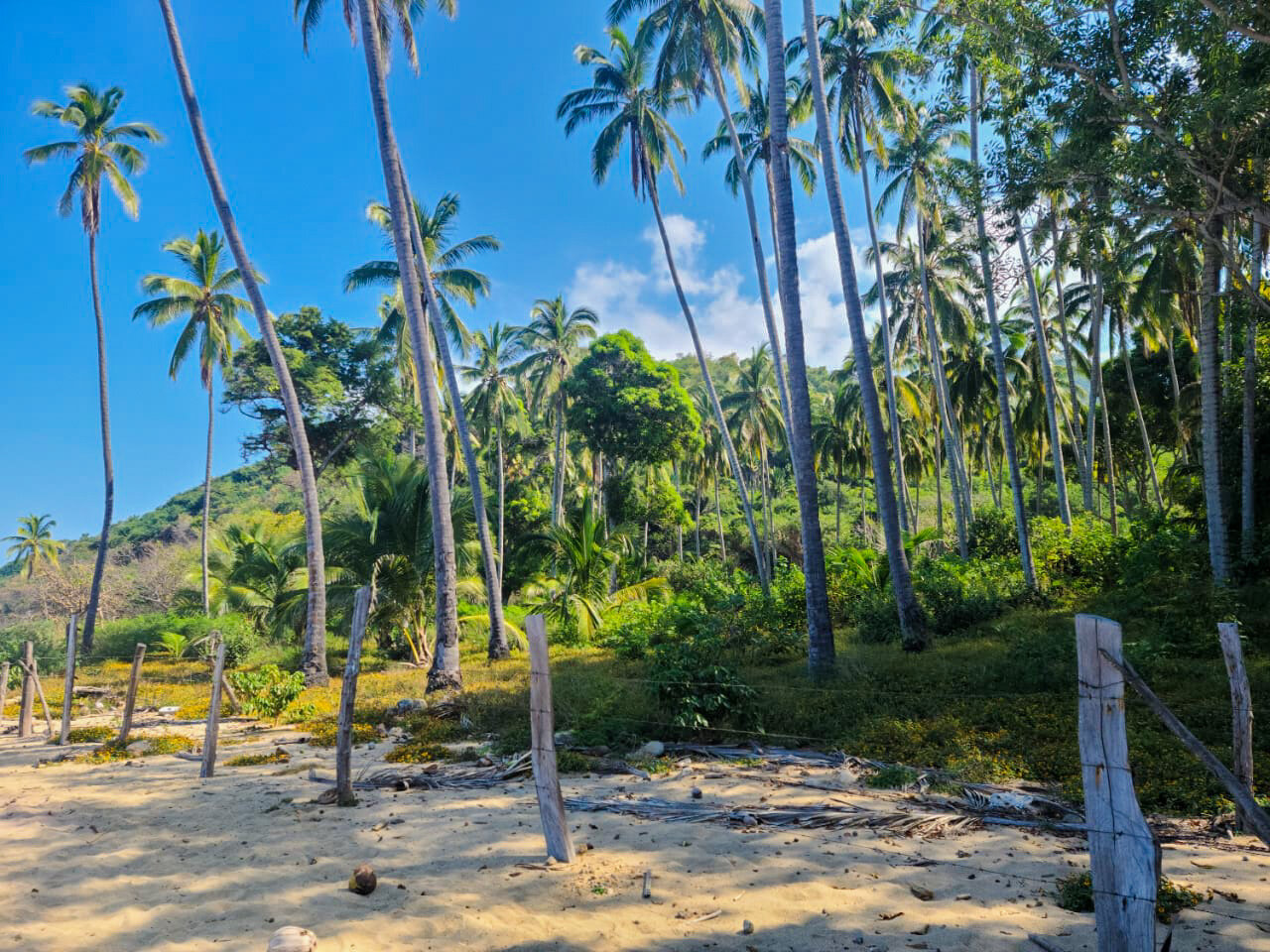 Chimo, Mexico, 30 min South of Yelapa — My Deztination