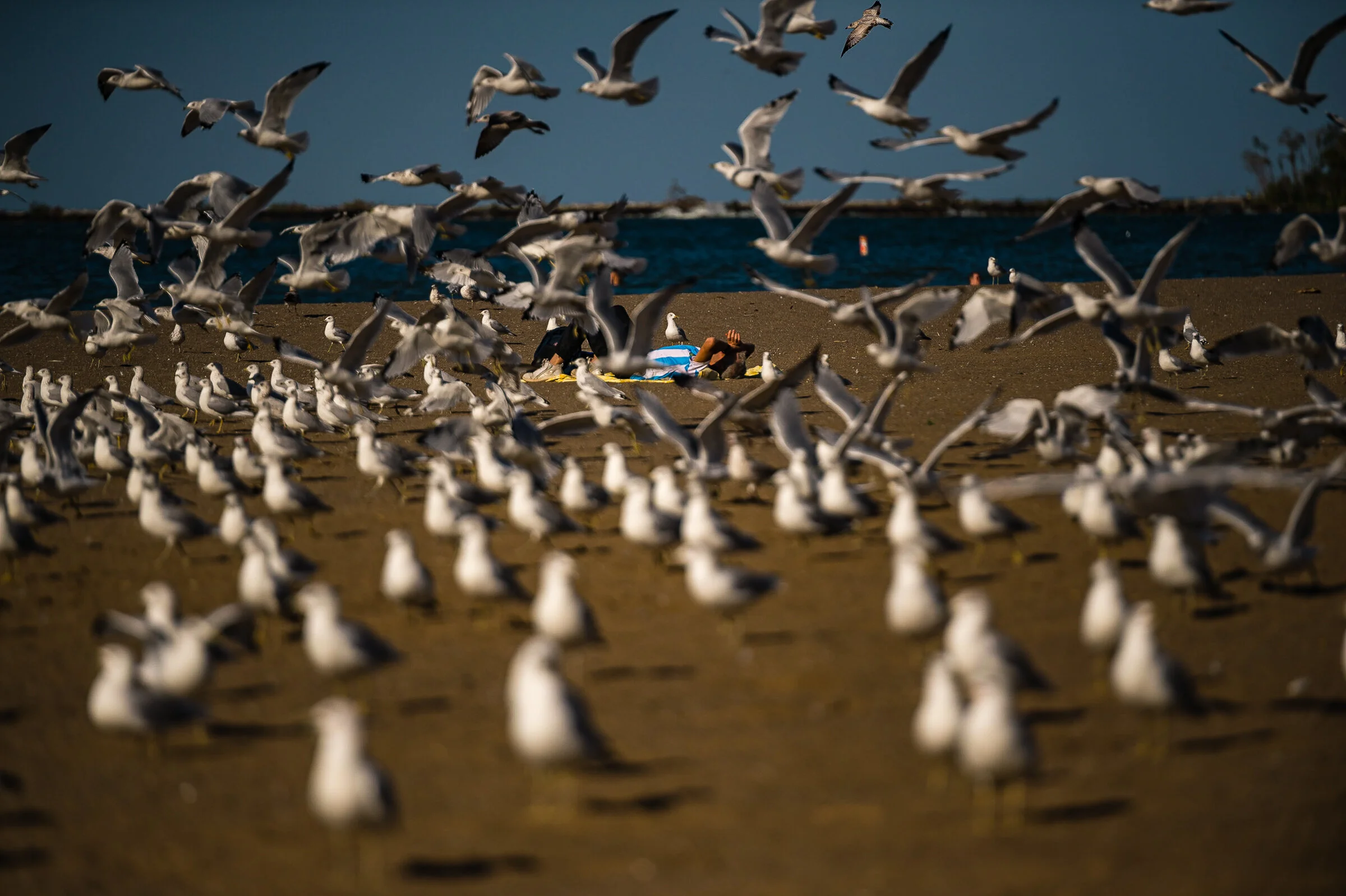 Editorial — Andrew Dolph Photography LLC