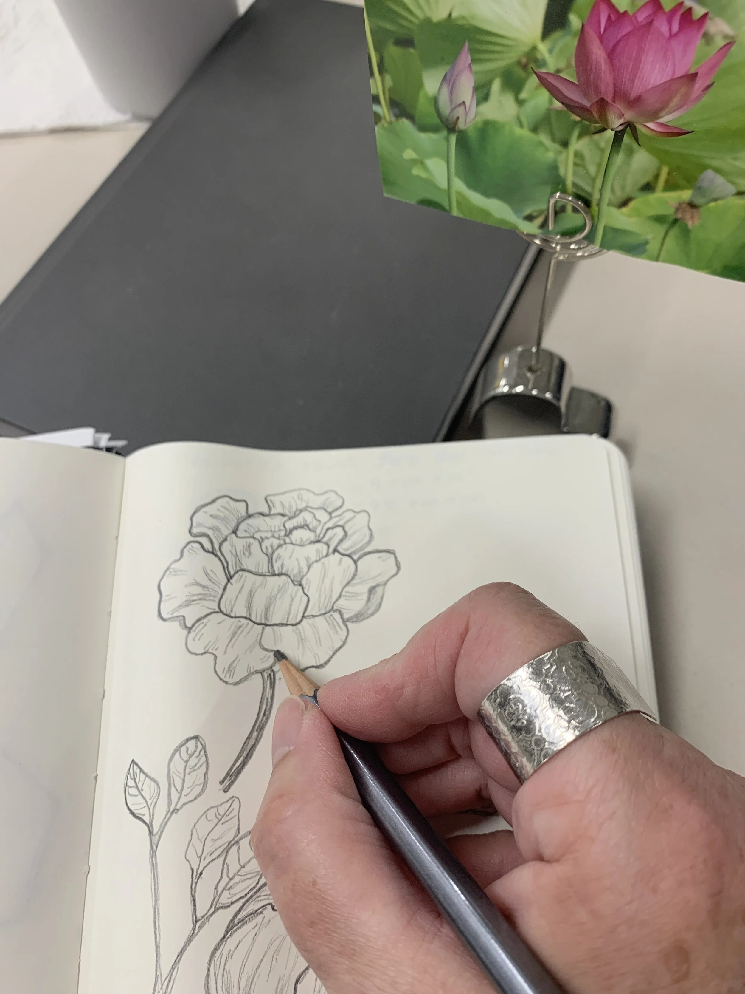 Lotus Blog