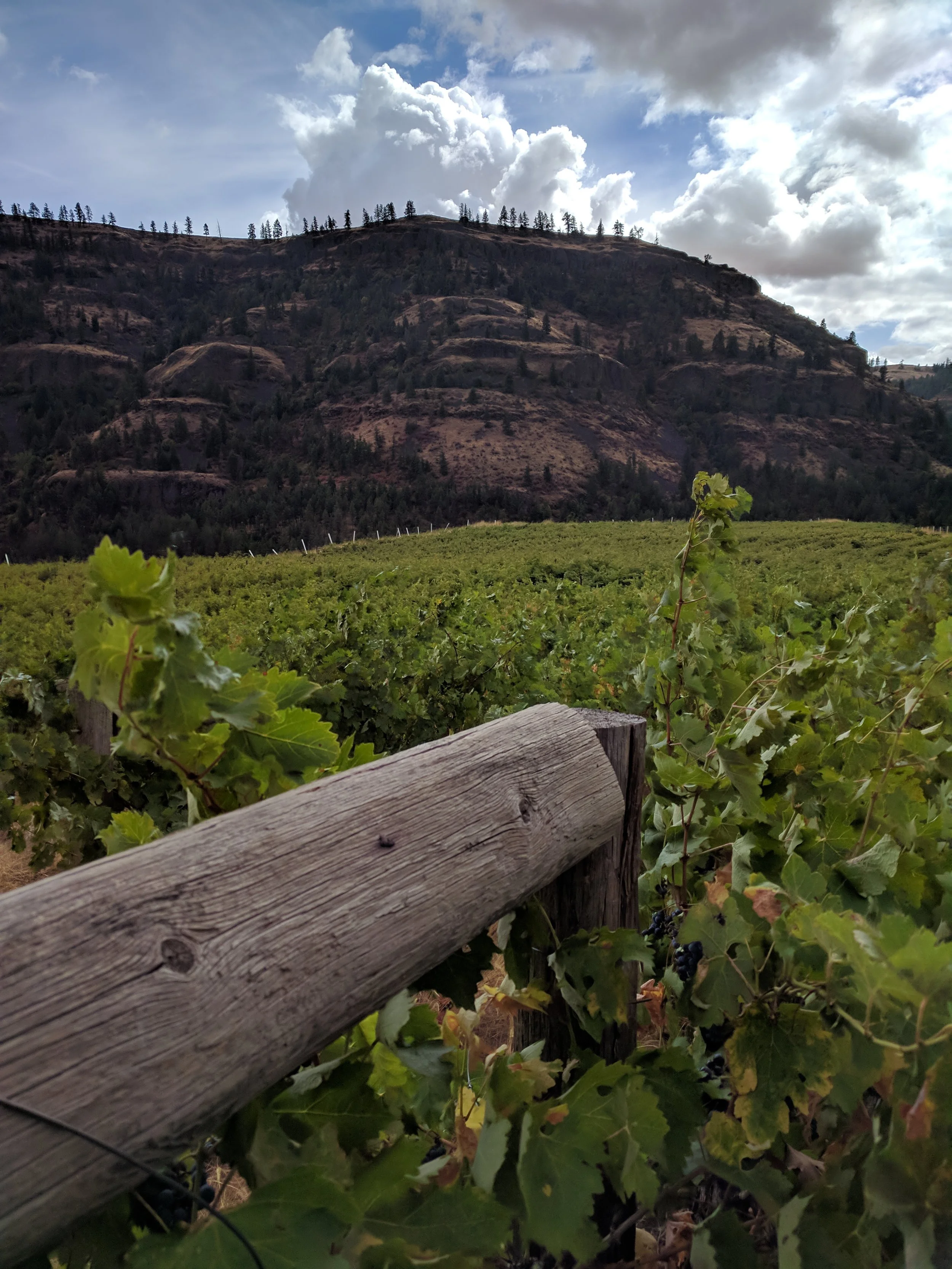 Visiting One Of Washington State's Most Uniquely Situated Wine ...