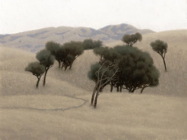Nick Dridan — West Gallery Thebarton