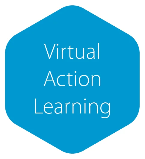 Overview of our Action Learning Services — Action Learning Centre