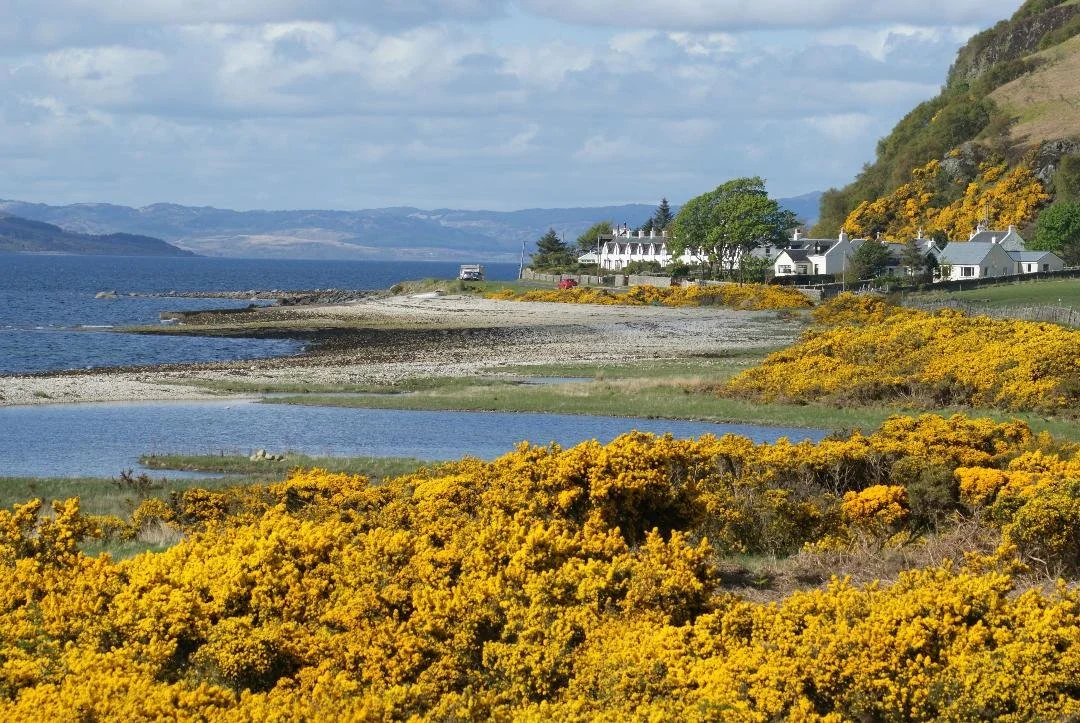 Calendar + Events Guide — A Little Beacon Blog