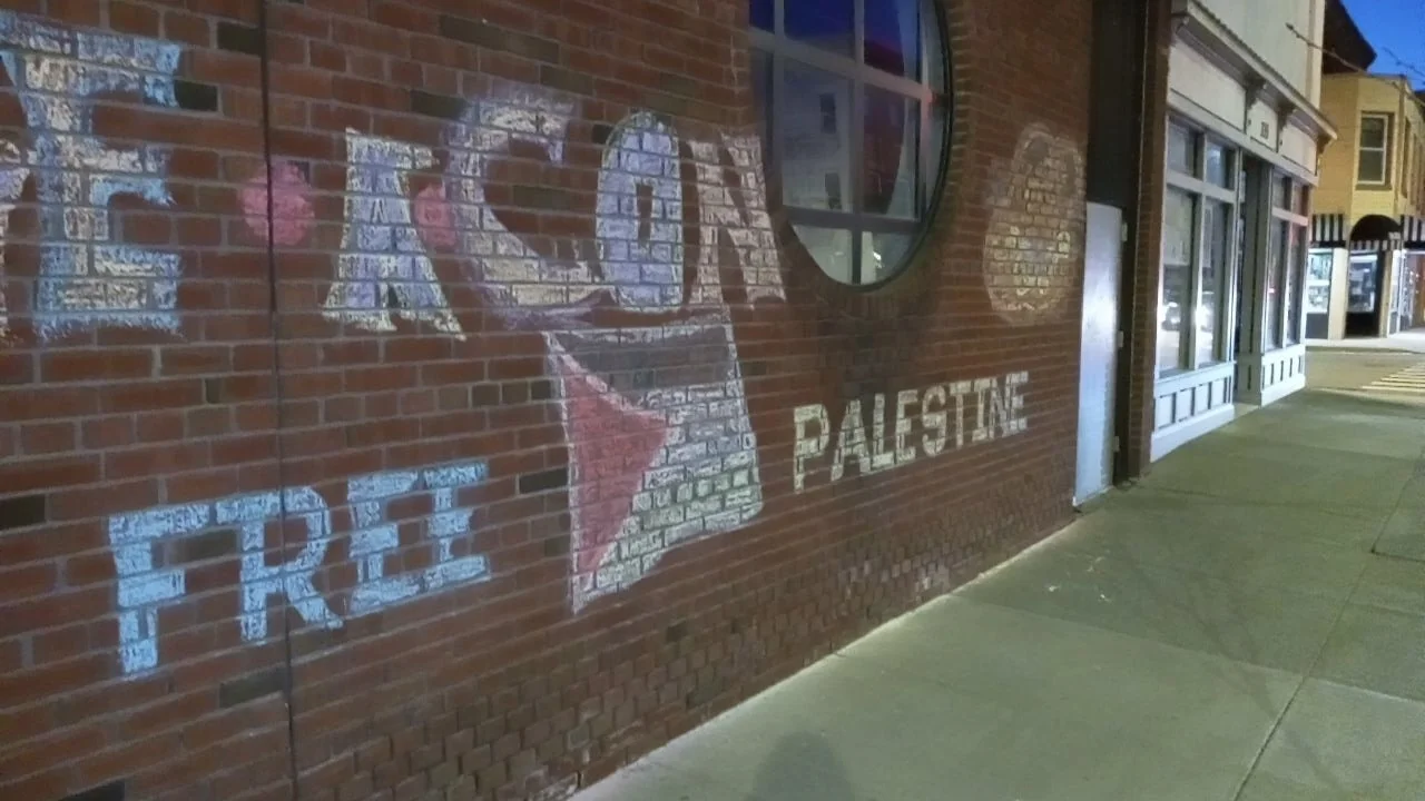 Chalk Art For "Free Palestine" Message Gets Splattered With Possibly ...