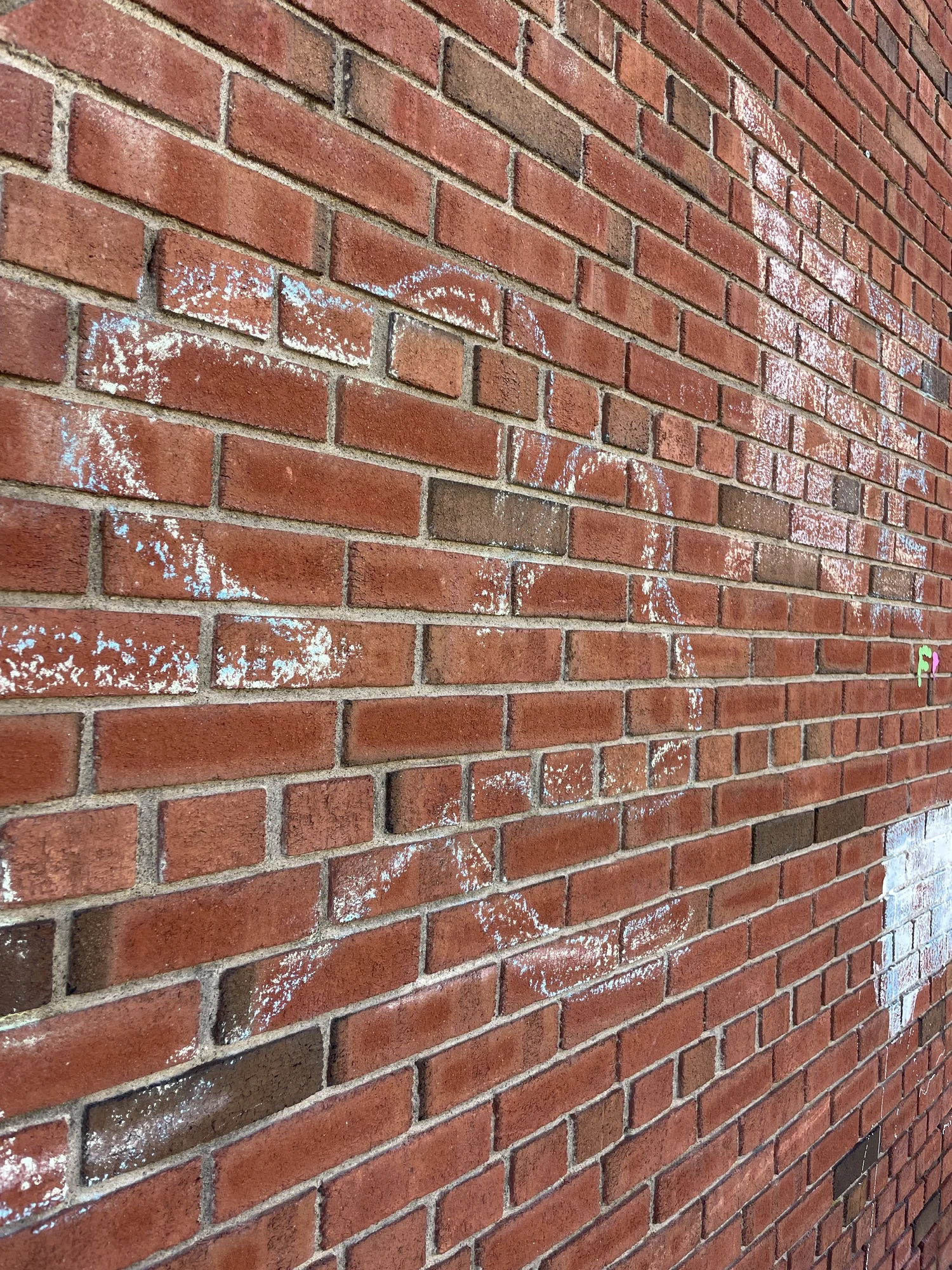 Chalk Art For "Free Palestine" Message Gets Splattered With Possibly ...