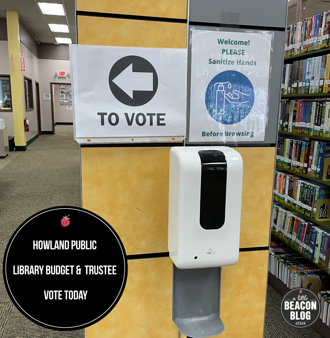 The Race Is On! 9 Trustees On Ballot For 3 Seats In Beacon's Public ...