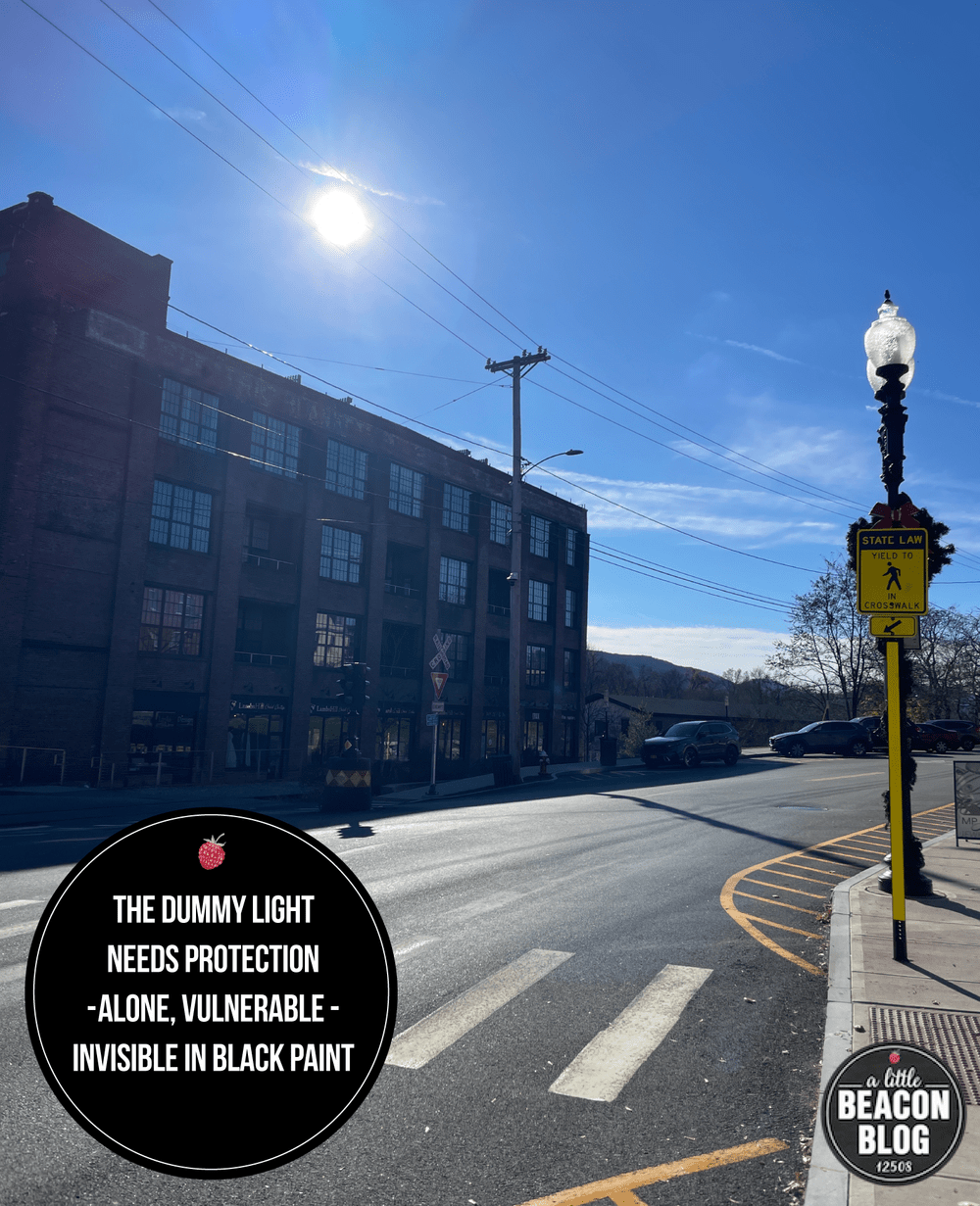 The Dummy Light Needs Protection: Alone, Vulnerable - Invisible In ...