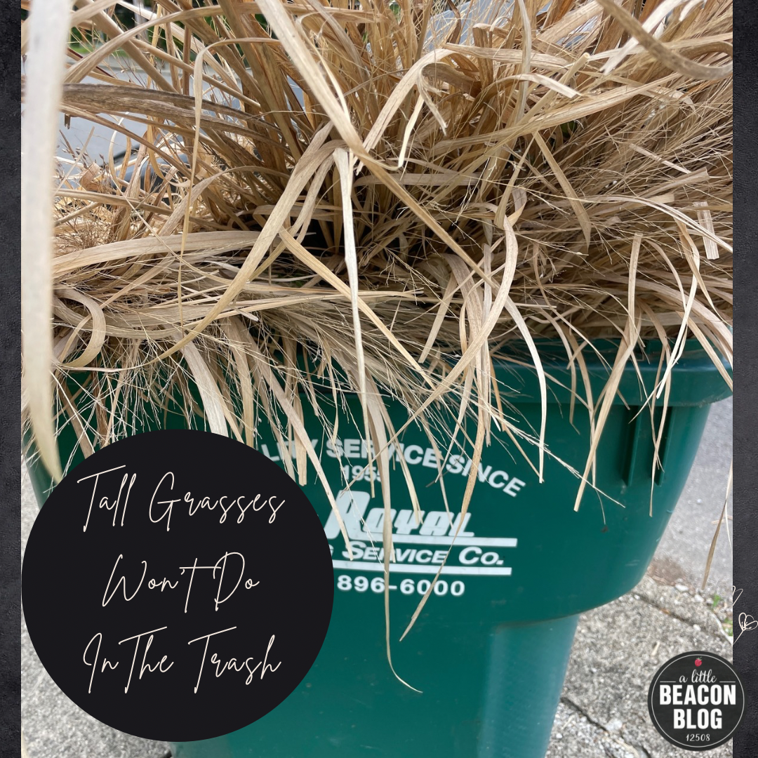 Trash Contained: Royal Carting Won't Pick Up Tall Grasses, Tree ...