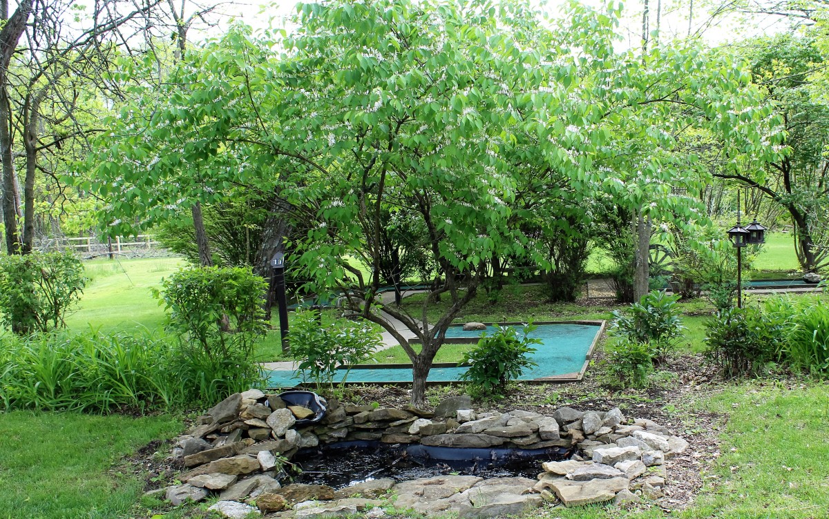 Miniature Golf — Olentangy Caverns