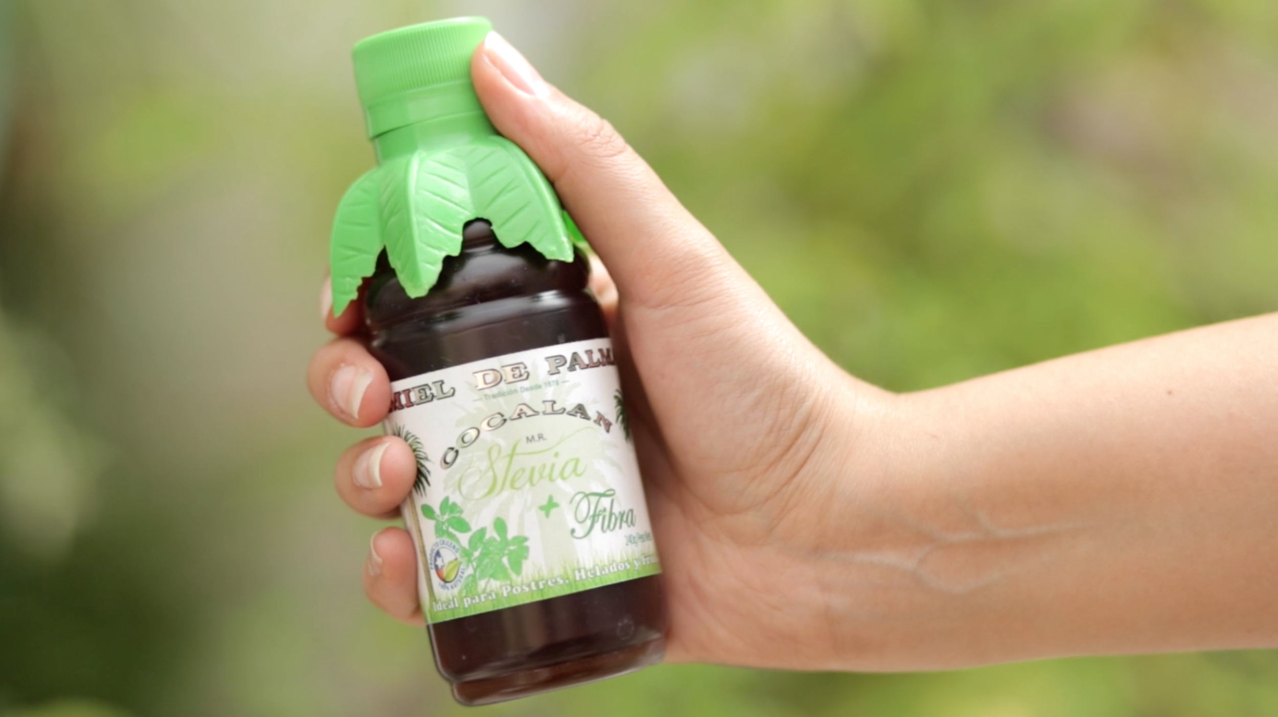 Miel de Palma CocalánMiel de Palma Cocalán