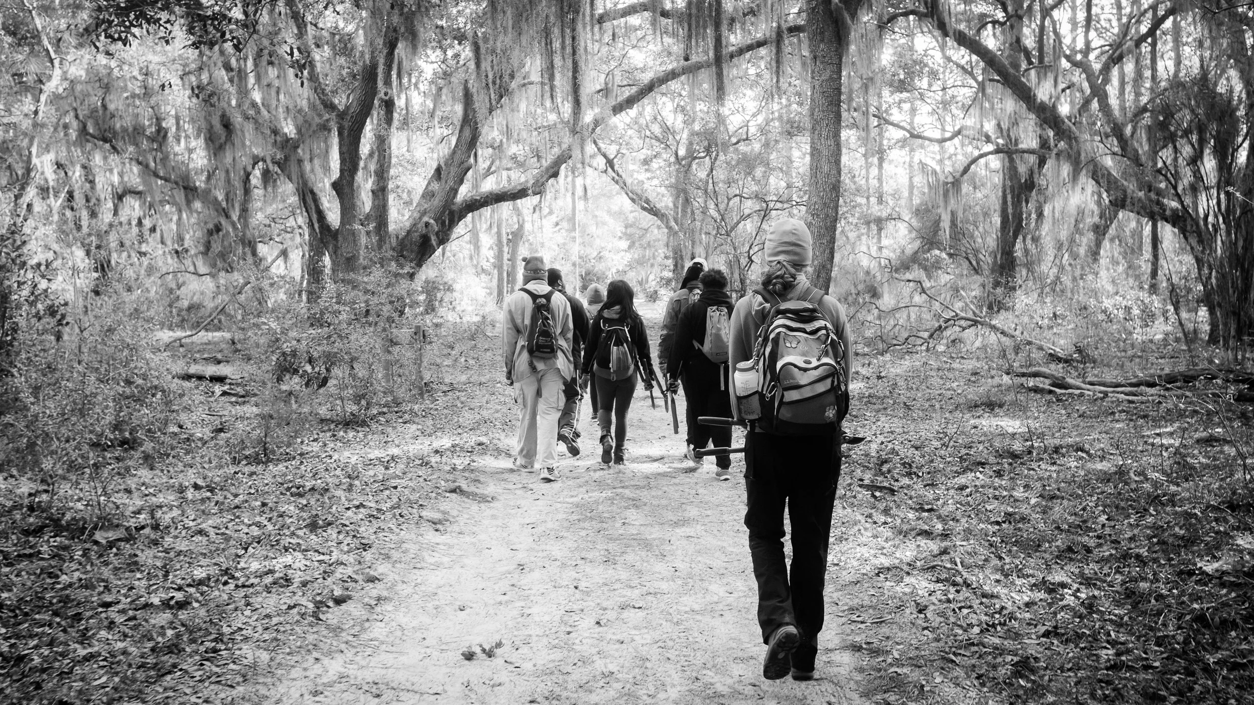 Volunteer — Georgia Conservancy