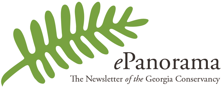 Contact Us — Georgia Conservancy