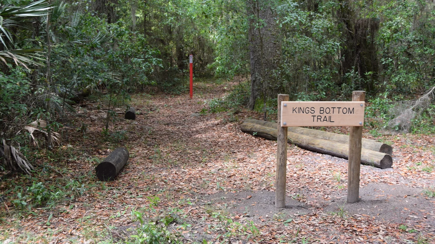 Kings Bottom Trail | Georgia Conservancy