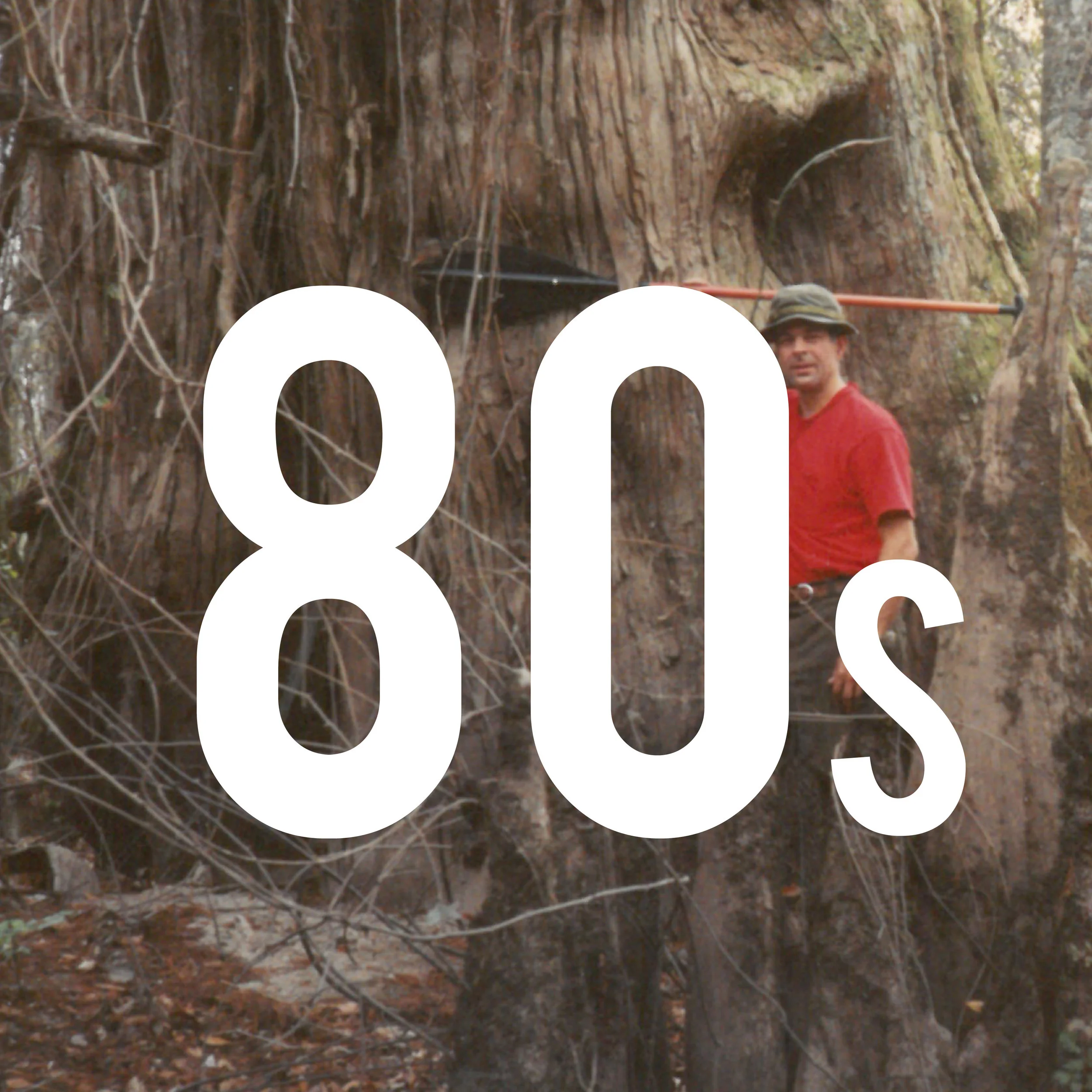 Our History — Georgia Conservancy