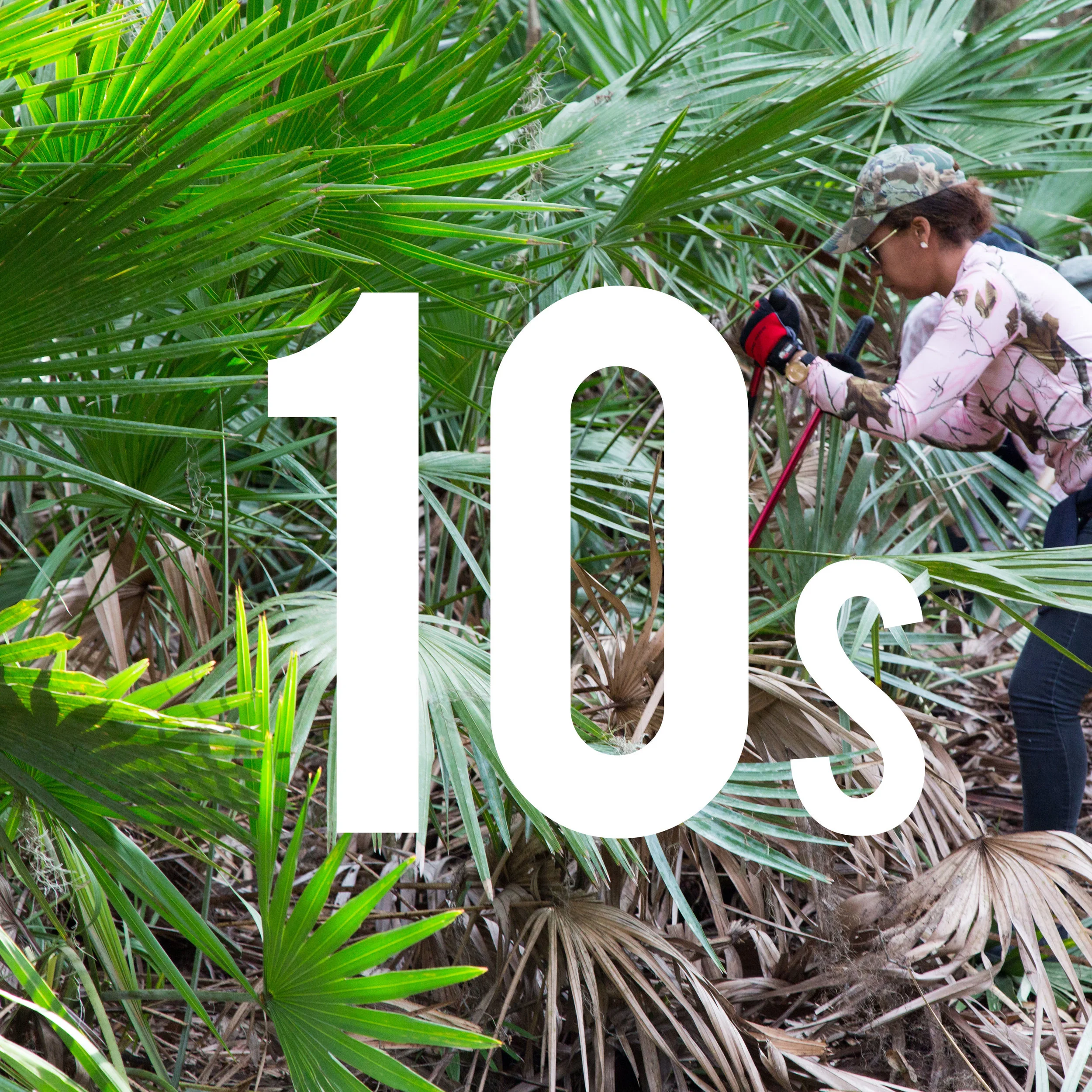 Our History — Georgia Conservancy