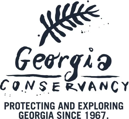 Arabia Mountain Day Hike | Georgia Conservancy