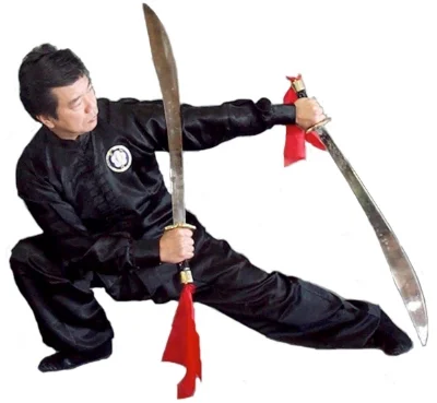 Our Programs — Calvin Chin's Martial Arts Academy